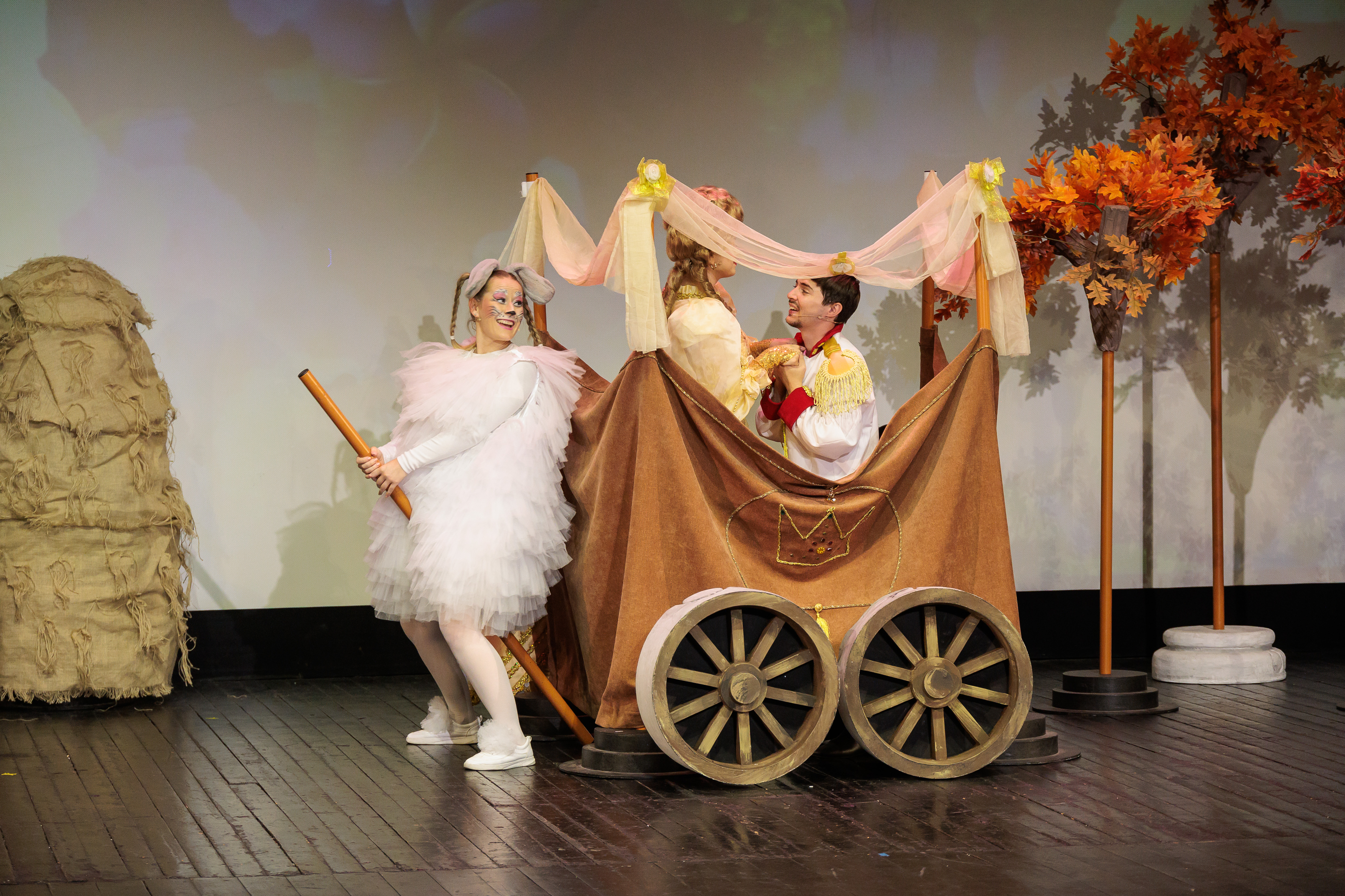 MOTANUL INCALTAT - Spectacol de teatru pentru copii și adole